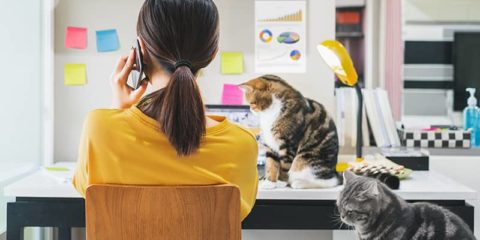 T777S Form: The Simplified Method to Claim Employment Expenses